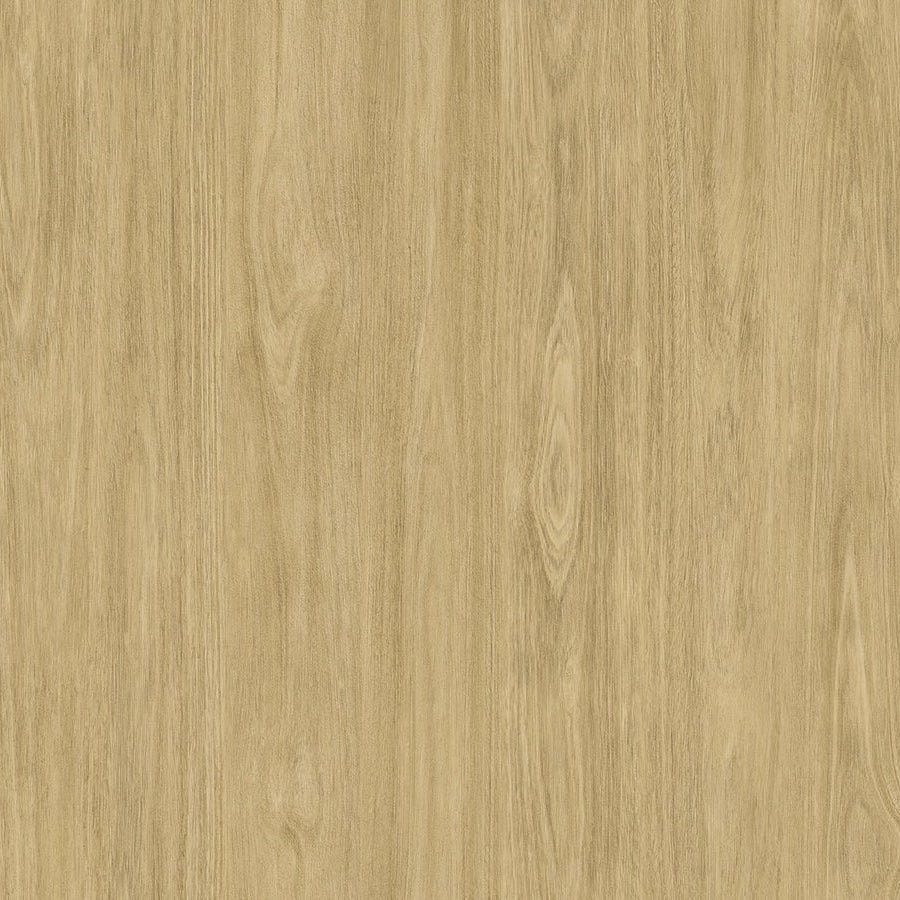Spanish Oak[MDF, MDF MR, PB, PB MR, PLYWOOD] – World Class Laminate Inc.